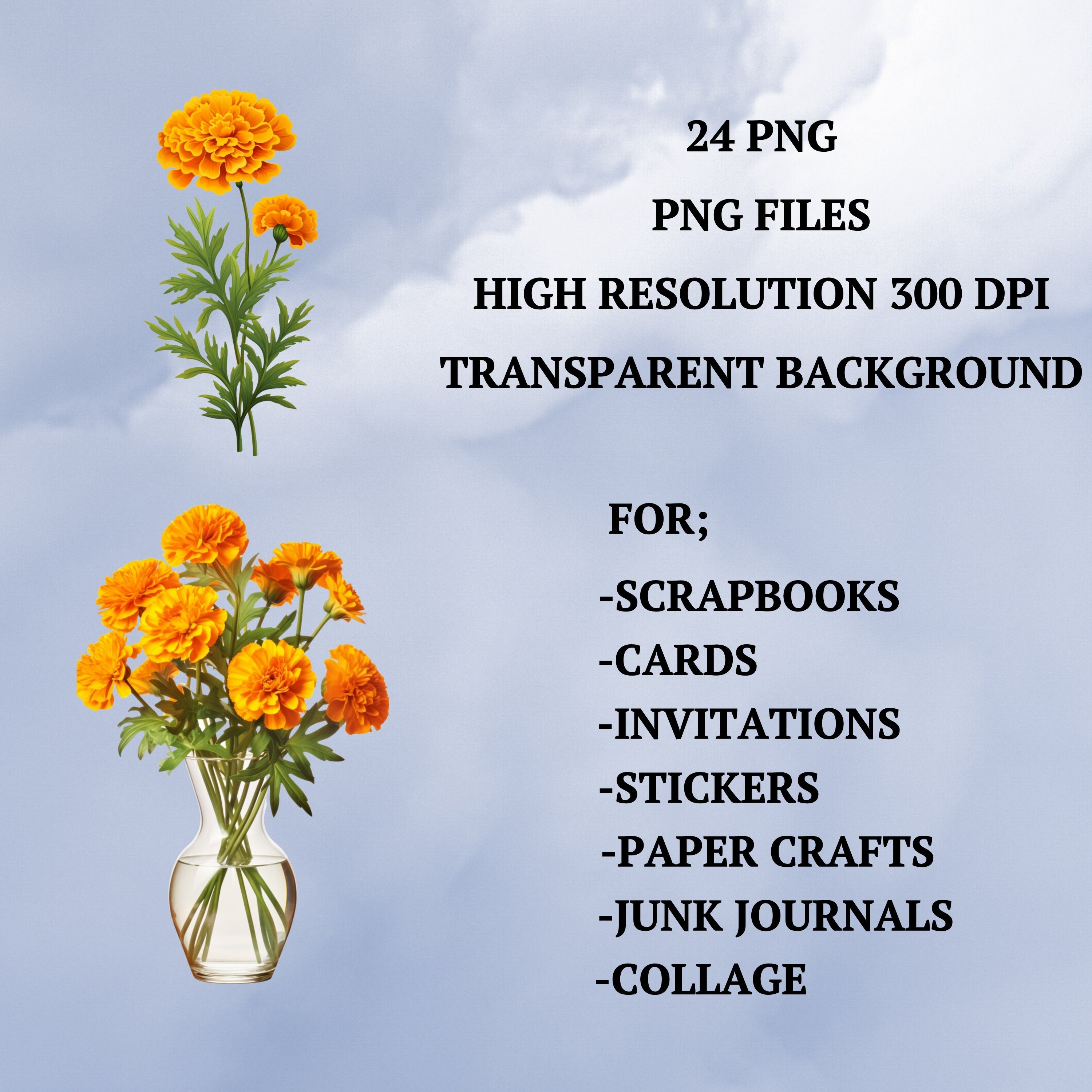 24 Watercolor Birth Month Flower Clipart, Birth Flowers in Vase, Birth ...