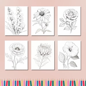 100 Botanical Flowers Coloring Book Pages, Blooming, Adults and Kids ...