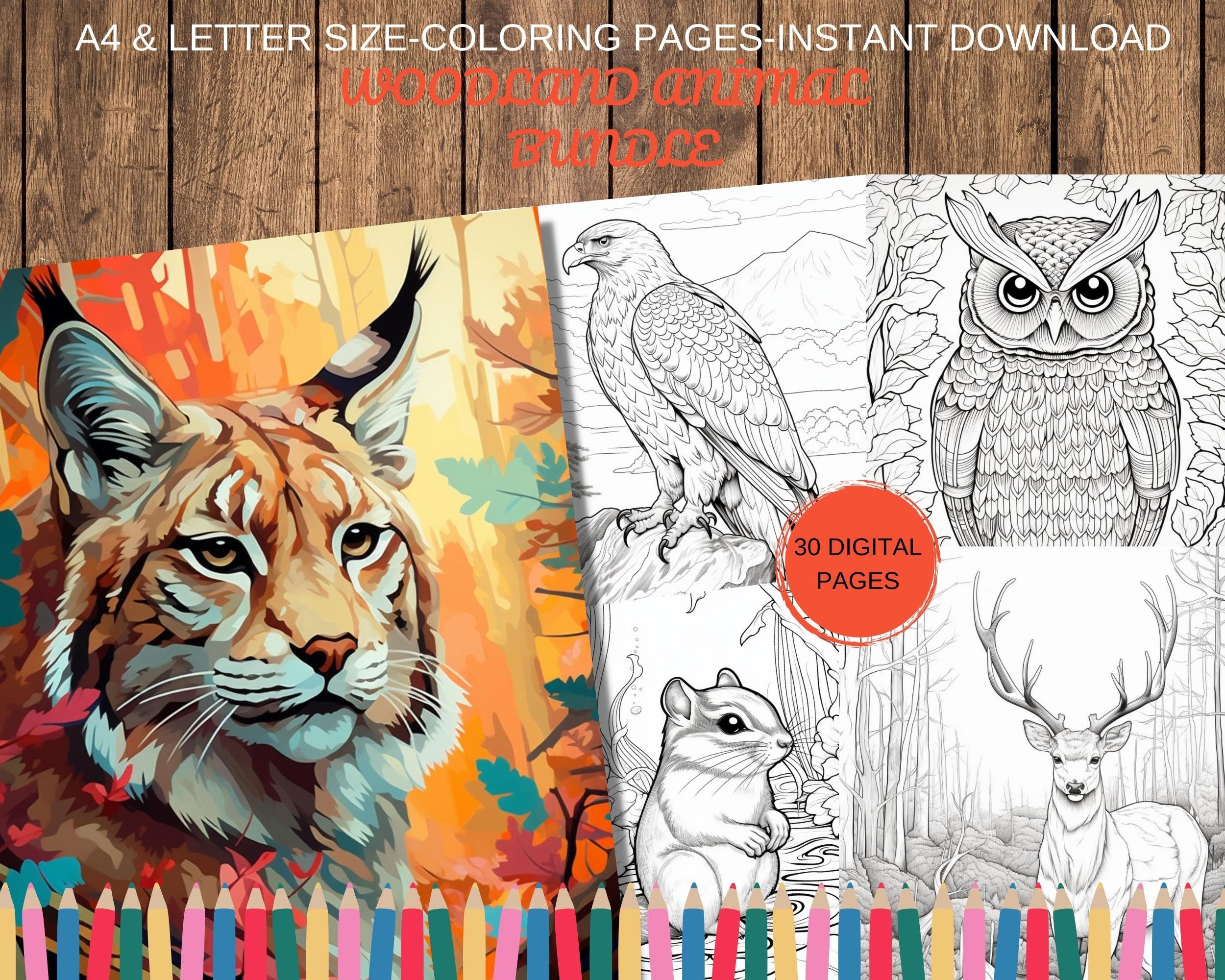 30 Floral Woodland Animals Coloring Book, Printable Forest Animals ...