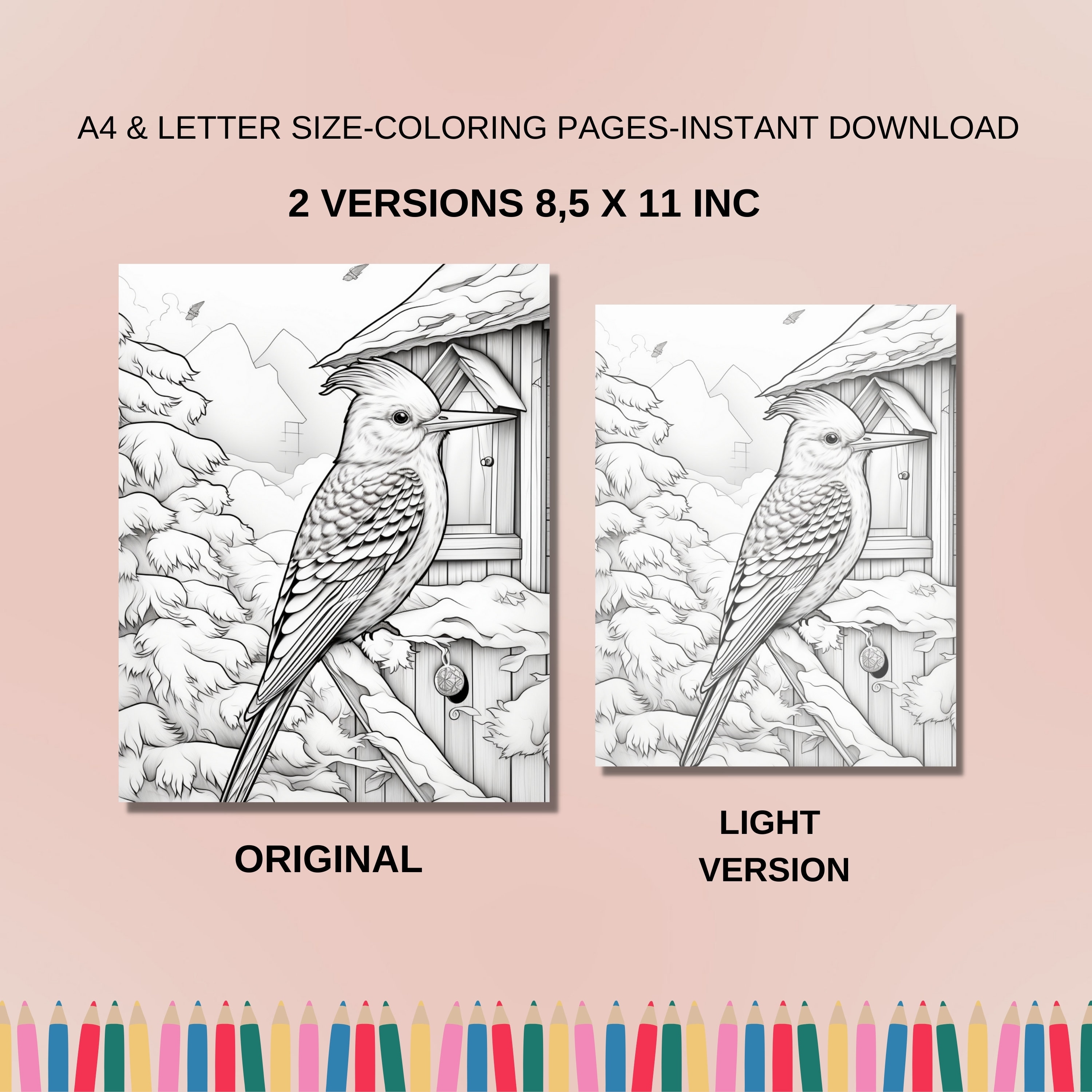 40 Winter Birds Coloring Pages, Grayscale, Coloring Sheets, Printable ...