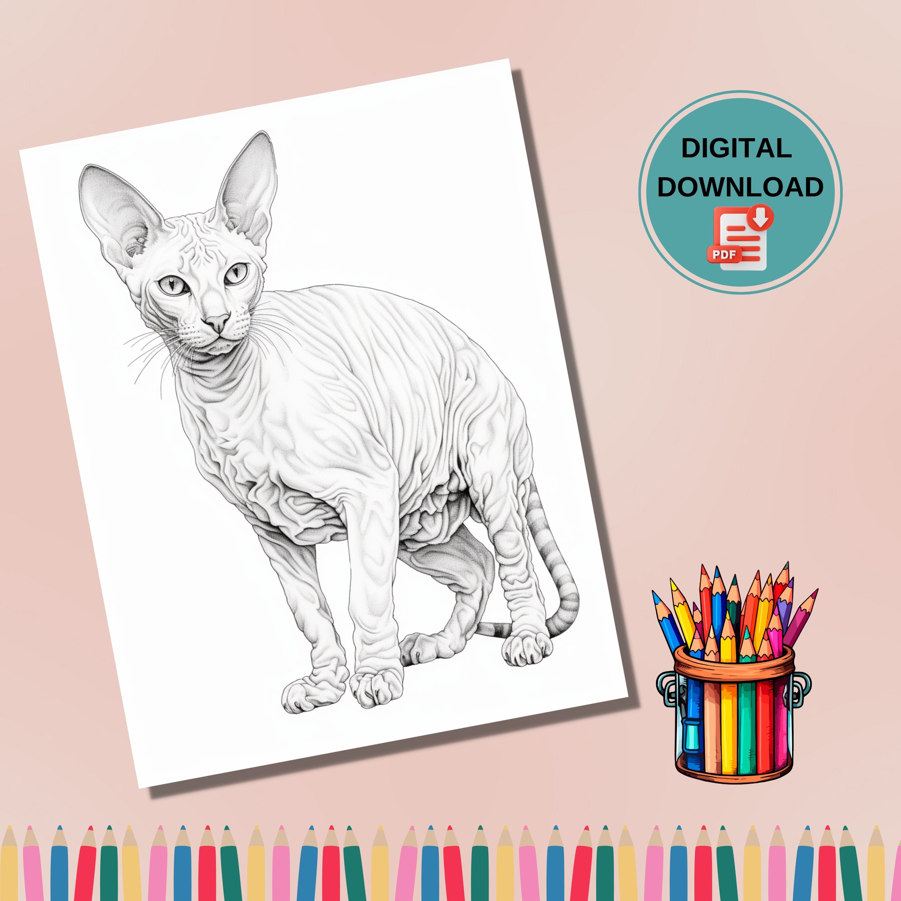 45 Cat Breeds Coloring Page Book, Adults and Kids Instant Download ...