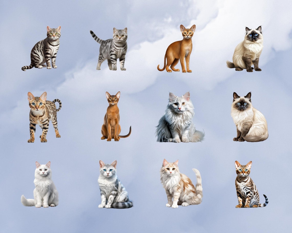 76 Cat Breeds Clipart Bundle Cats Clipart, Cats Clipart, Animals ...
