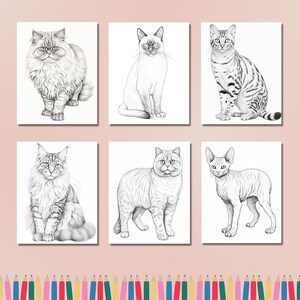 45 Cat Breeds Coloring Page Book, Adults and Kids- Instant Download ...