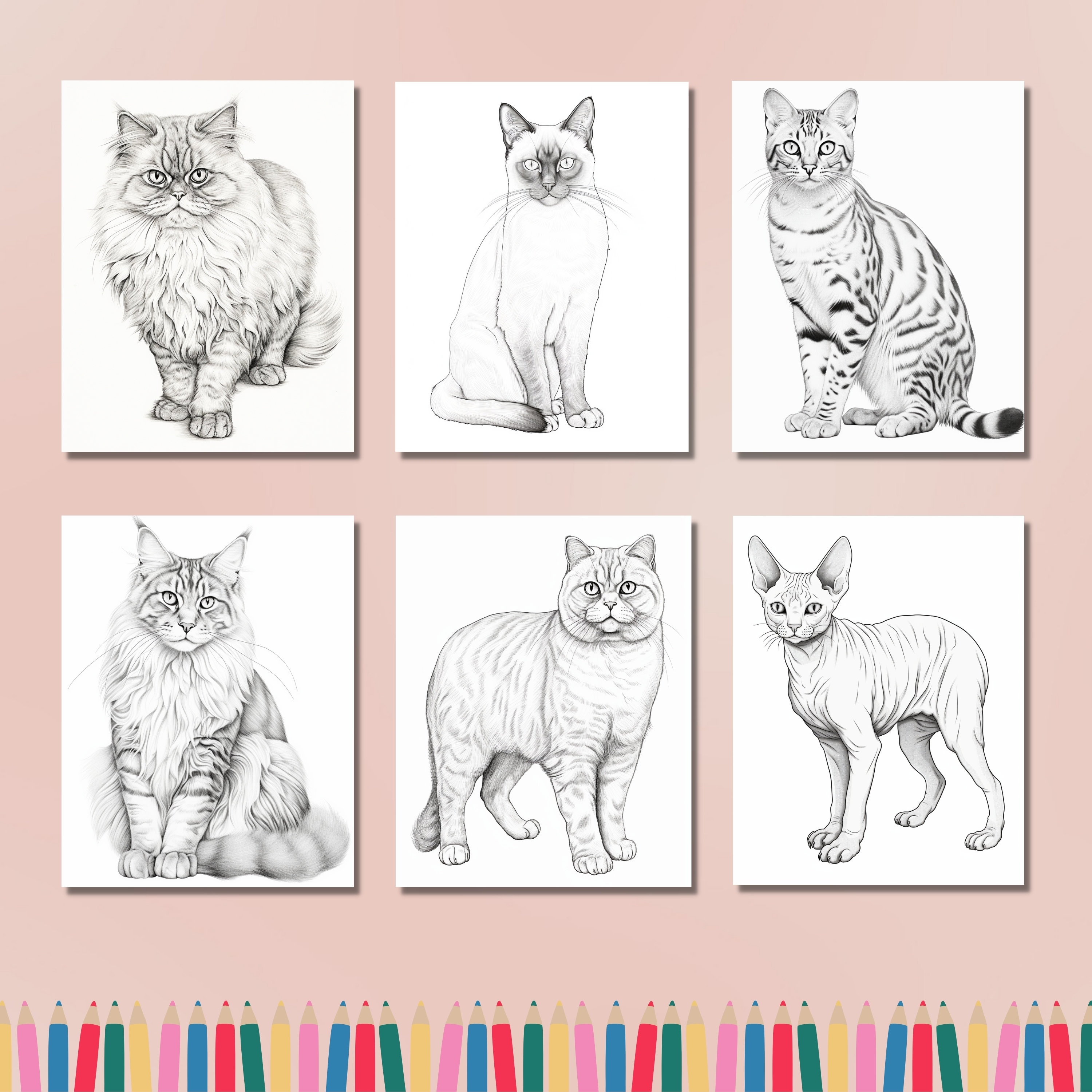 45 Cat Breeds Coloring Page Book, Adults and Kids Instant Download ...