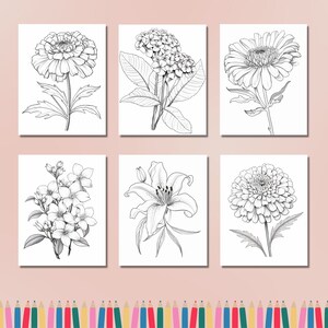 100 Botanical Flowers Coloring Book Pages, Blooming, Adults and Kids ...