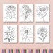 100 Botanical Flowers Coloring Book Pages, Blooming, Adults and Kids ...
