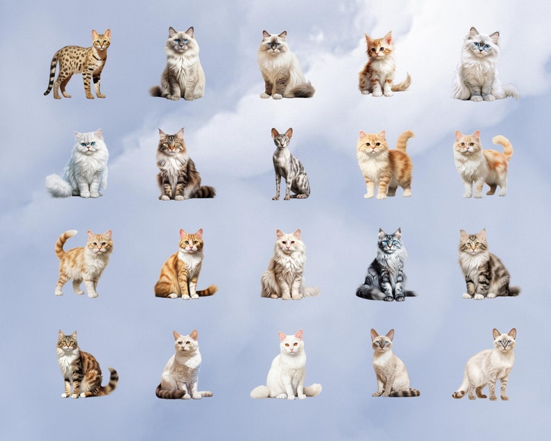76 Cat Breeds Clipart Bundle Cats Clipart, Cats Clipart, Animals ...