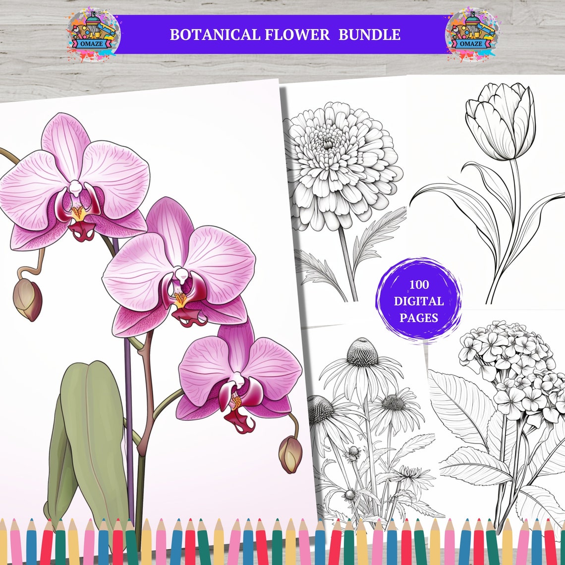 100 Botanical Flowers Coloring Book Pages, Blooming, Adults and Kids ...