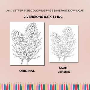 100 Botanical Flowers Coloring Book Pages, Blooming, Adults and Kids ...