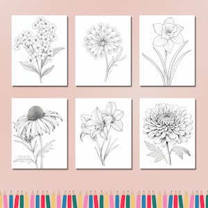 100 Botanical Flowers Coloring Book Pages, Blooming, Adults and Kids ...