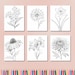 100 Botanical Flowers Coloring Book Pages, Blooming, Adults and Kids ...