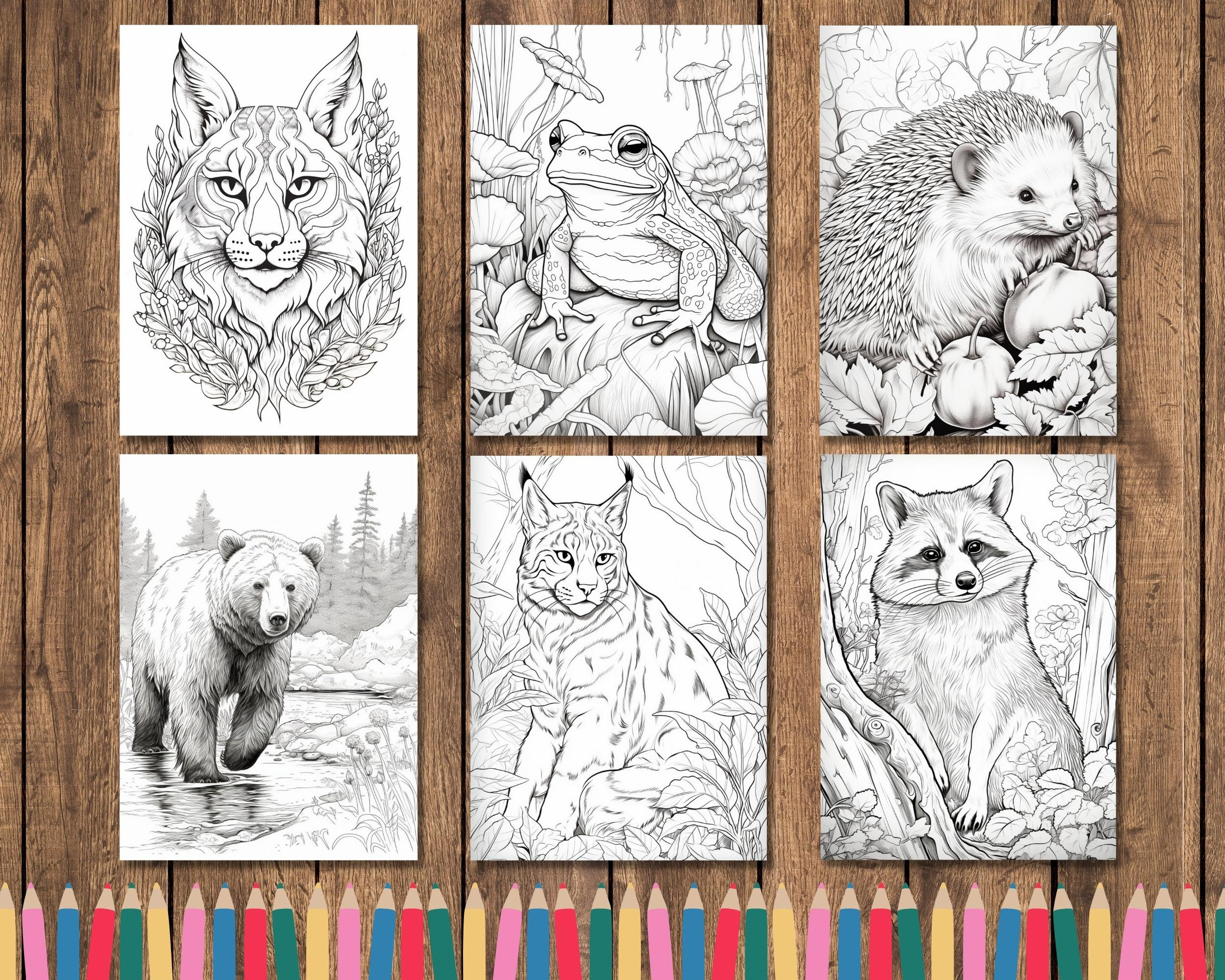 30 Floral Woodland Animals Coloring Book, Printable Forest Animals ...