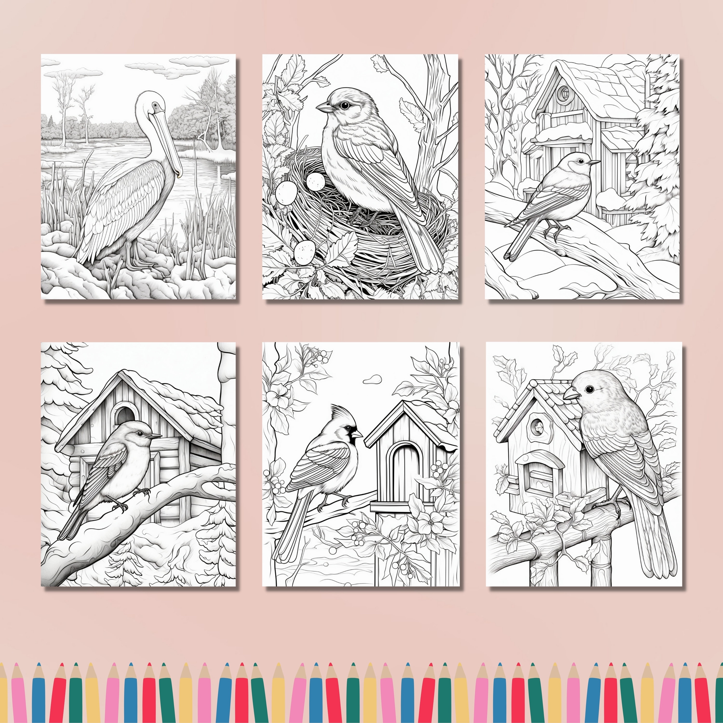 40 Winter Birds Coloring Pages, Grayscale, Coloring Sheets, Printable ...
