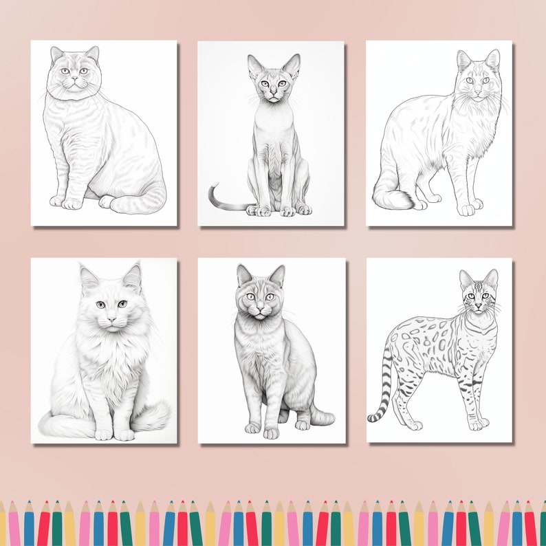45 Cat Breeds Coloring Page Book, Adults and Kids Instant Download ...