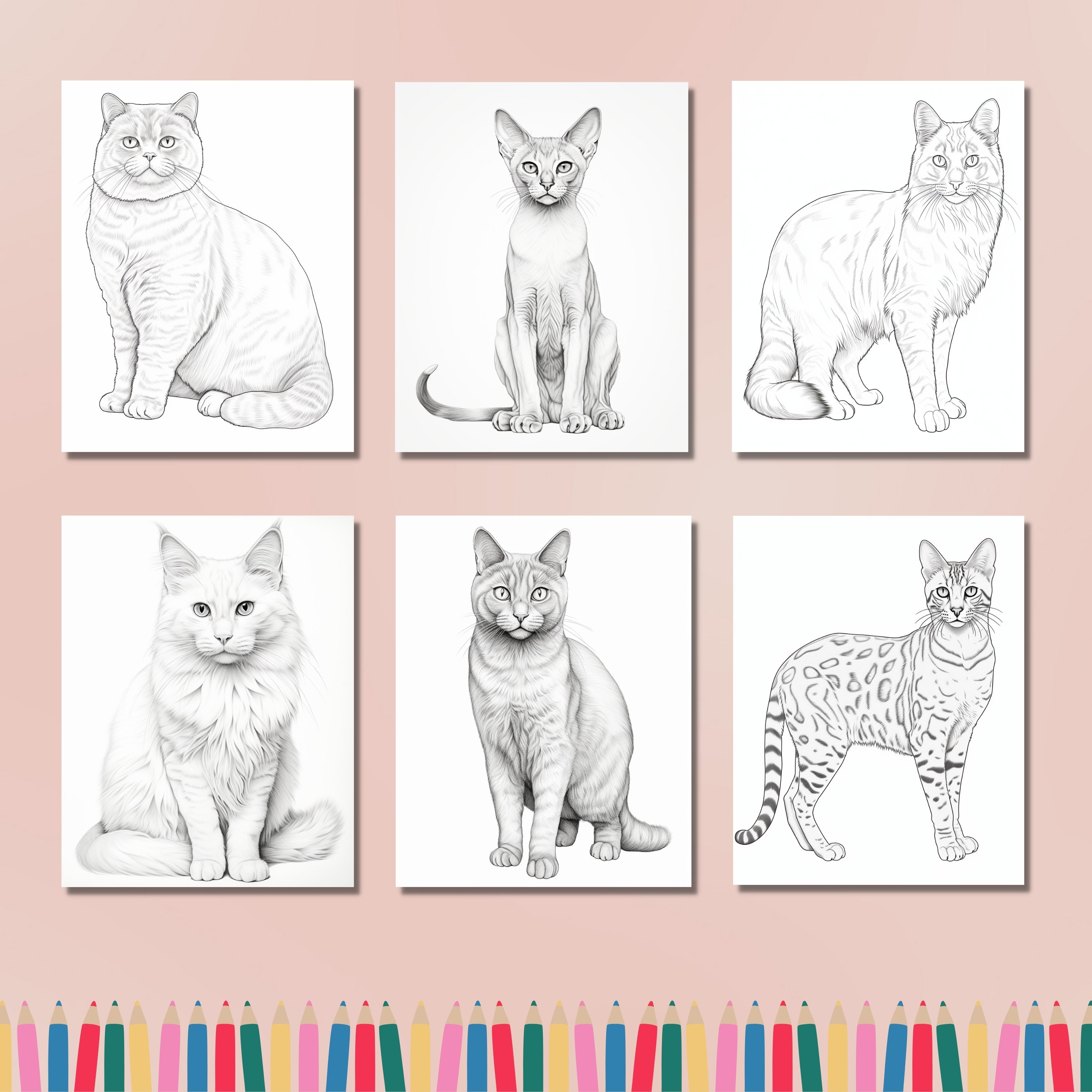 45 Cat Breeds Coloring Page Book, Adults and Kids Instant Download ...