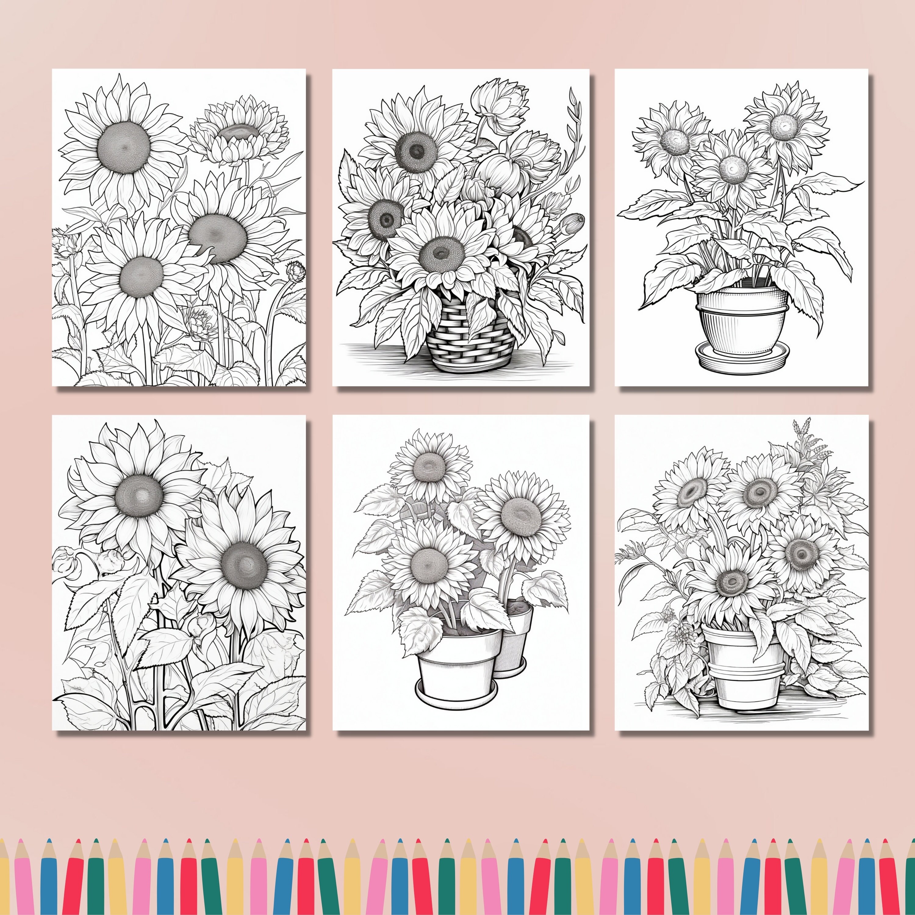 50 Sunflowers Coloring Book Pages, Botanical Floral Plant Coloring ...