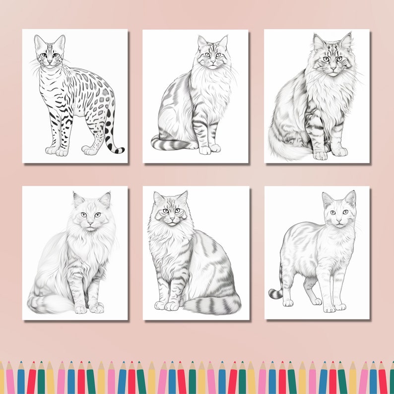 45 Cat Breeds Coloring Page Book, Adults and Kids Instant Download ...