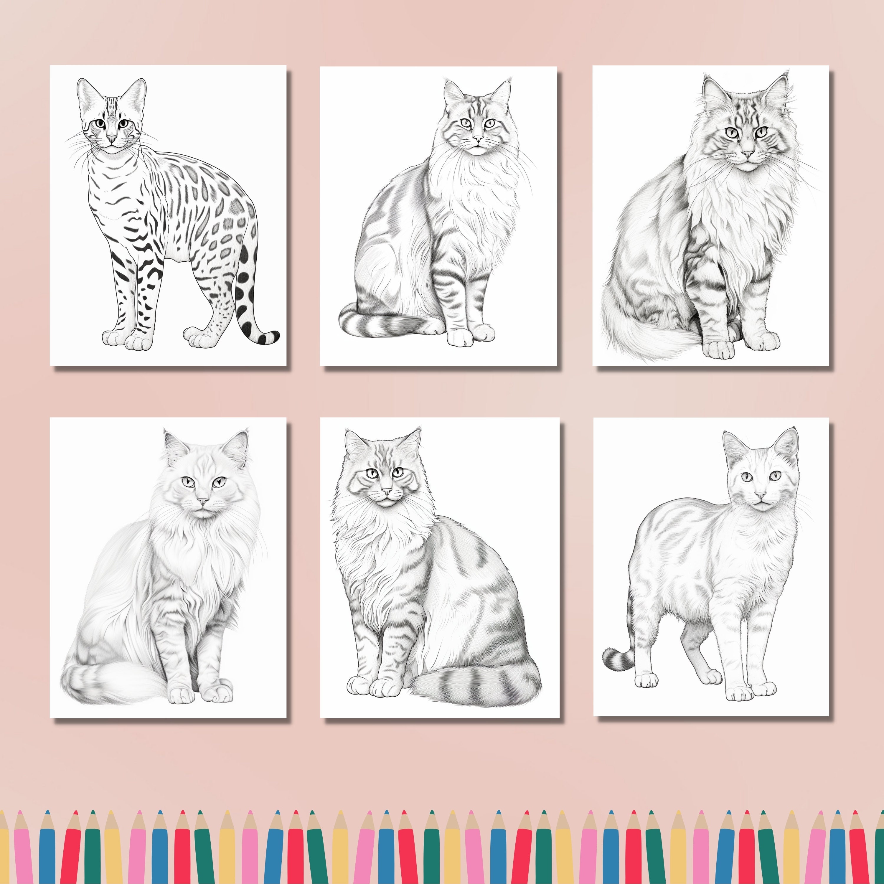 45 Cat Breeds Coloring Page Book, Adults and Kids Instant Download ...