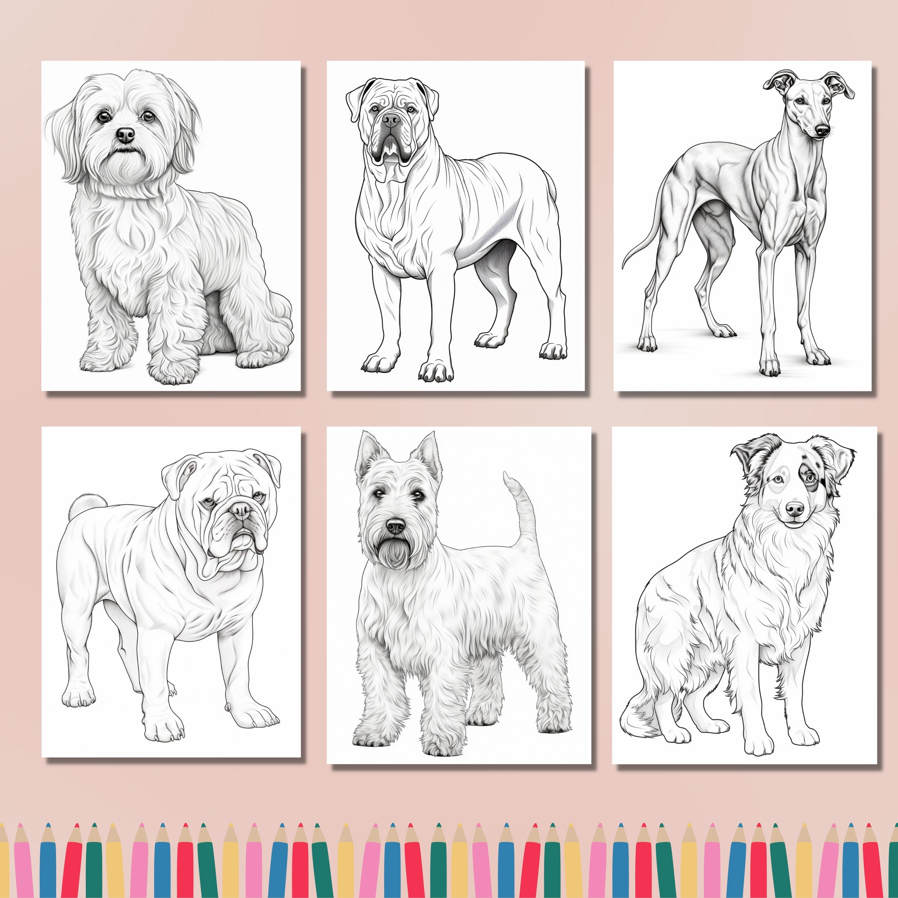 70 Dog Breeds Coloring Page Book, Adults and Kids Instant Download ...
