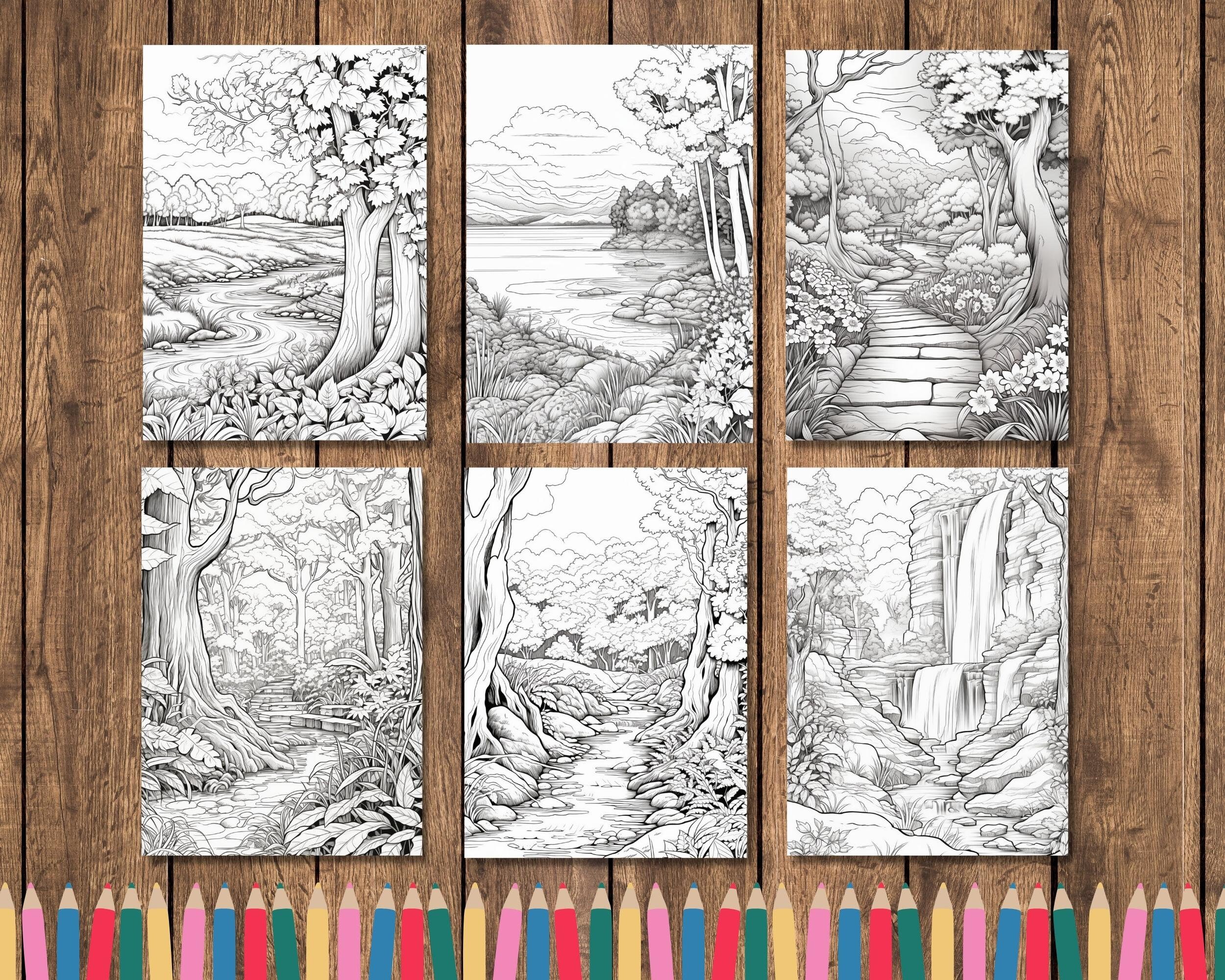 50 Nature Scenes Coloring Books, Nature Coloring Sheets Printable PDF ...