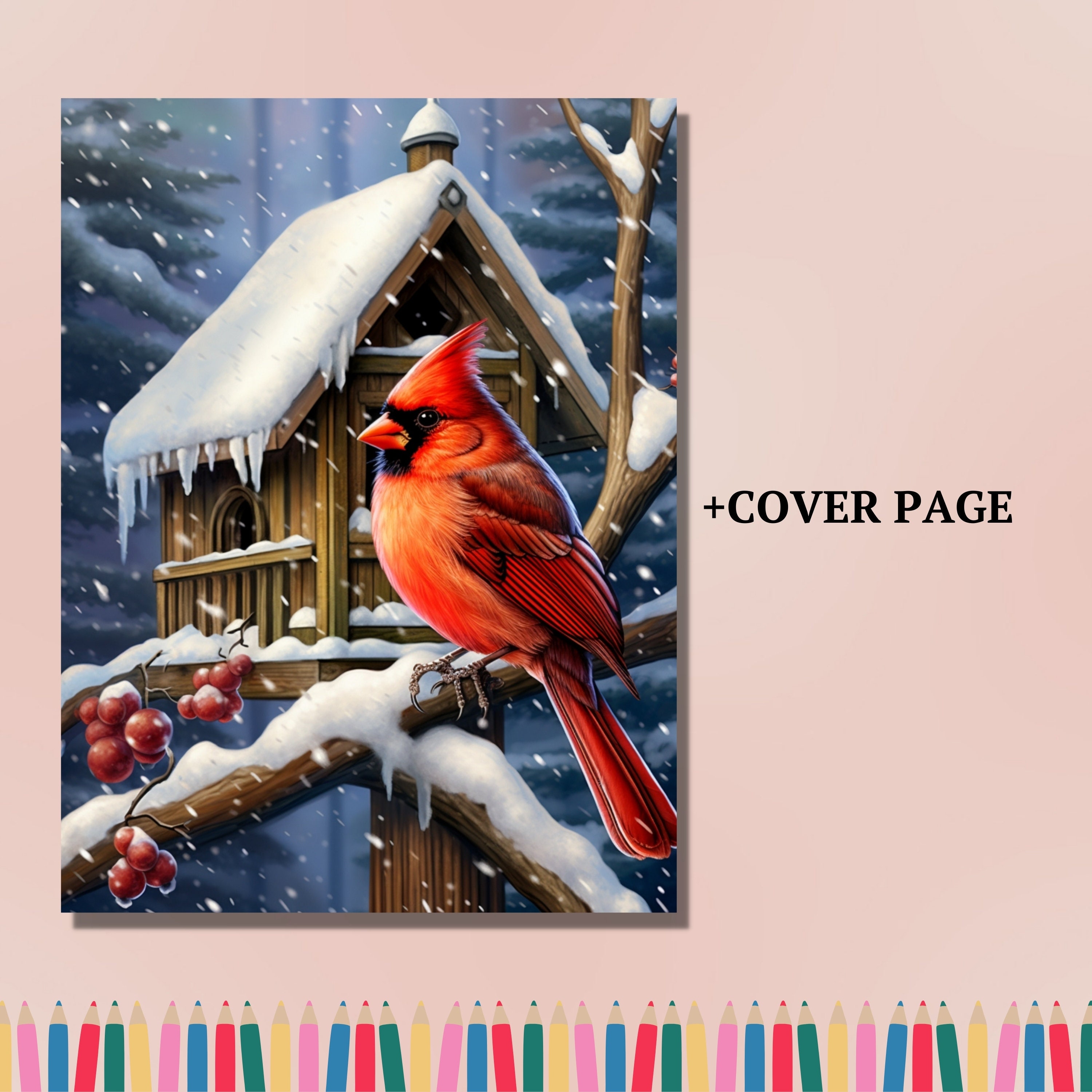 40 Winter Birds Coloring Pages, Grayscale, Coloring Sheets, Printable ...
