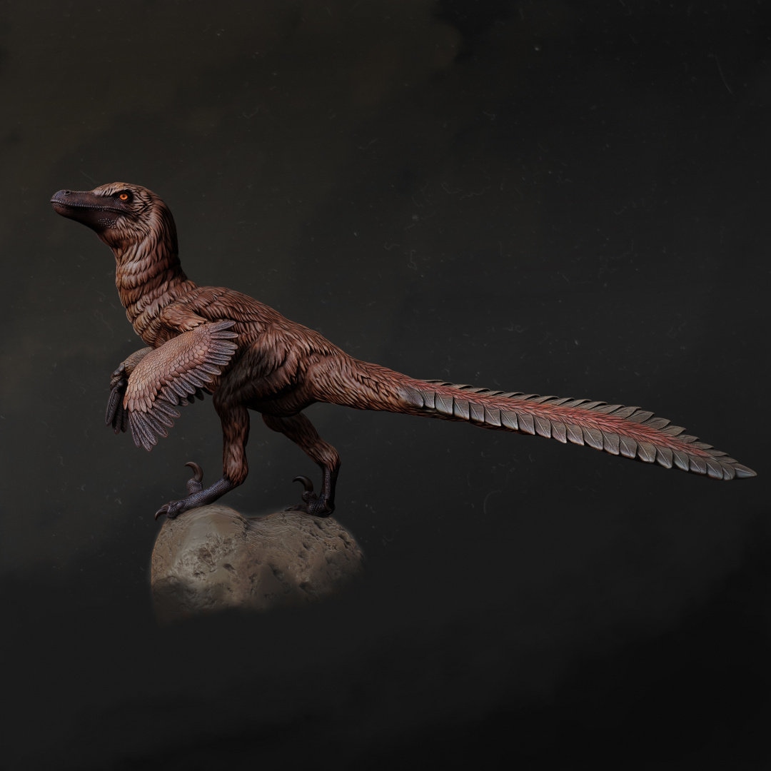 Velociraptor Looking 1:20 Scale Model - Exceptional 3D Resin Printed ...
