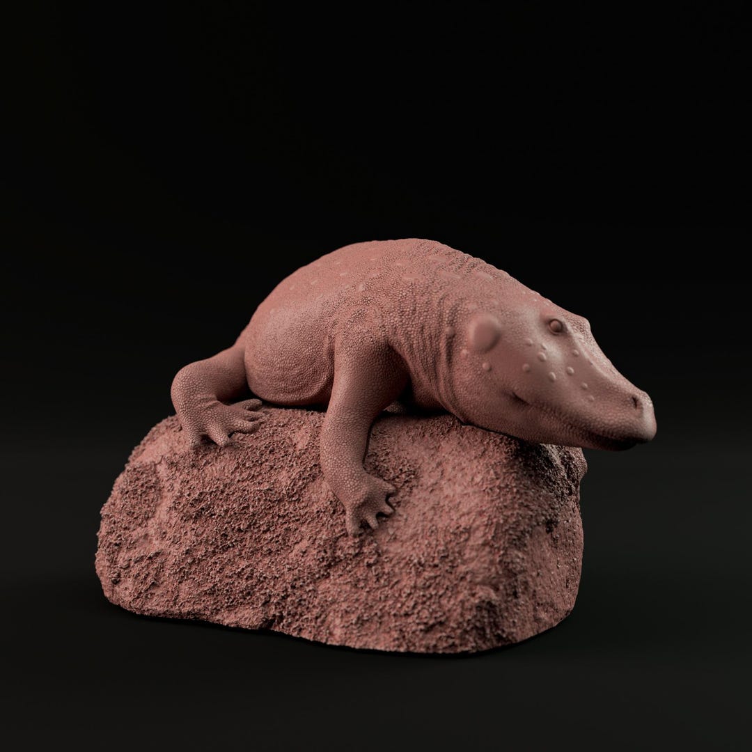 Eryops Resting 1:35 Scale Model - Exceptional 3D Resin Printed ...