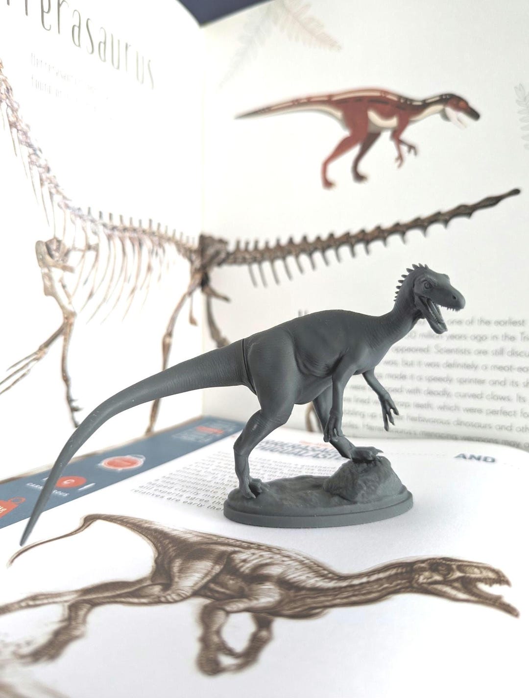 Herrerasaurus 1:35 Scale Model - Exceptional 3D Resin Printed Miniature ...