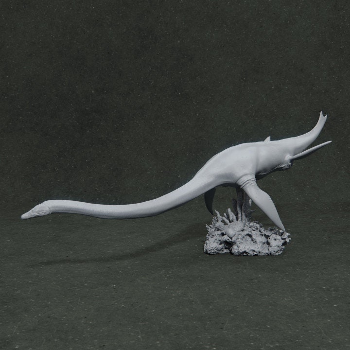 Elasmosaurus Swimming 1:35 Scale Model - Exceptional 3D Resin Printed ...
