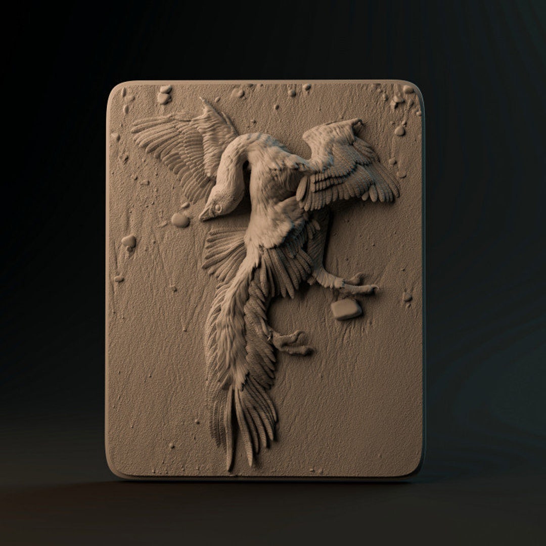 Archaeopteryx Dead Fossil 1:6 Scale Model Exceptional 3D Resin Printed ...