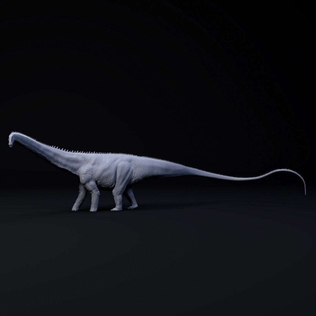 Diplodocus Model 157 X 611mm - 1:35 Scale - Exceptional 3D Resin ...