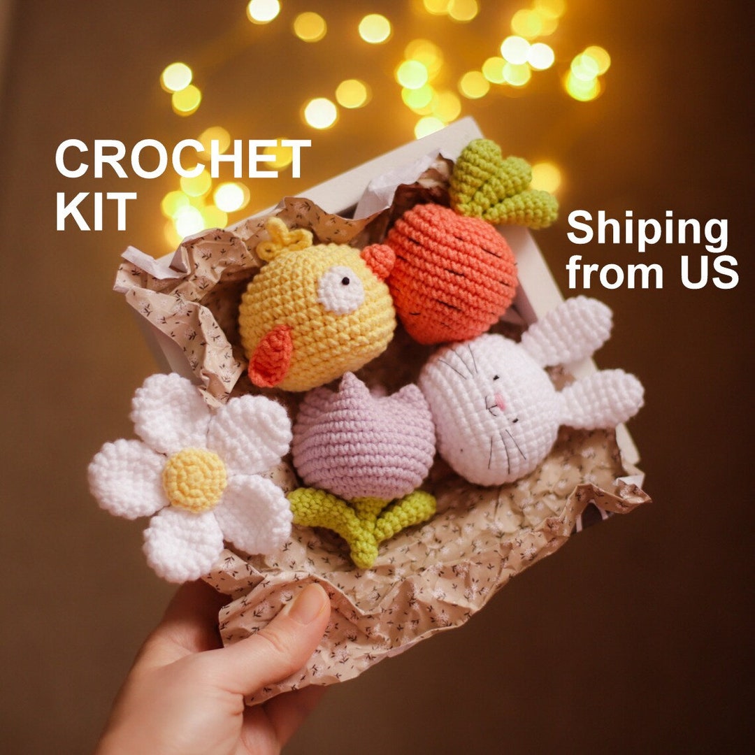 Crochet Kit, Crochet Set of Patterns+materials 5in1 Amigurumi Kit Bunny ...
