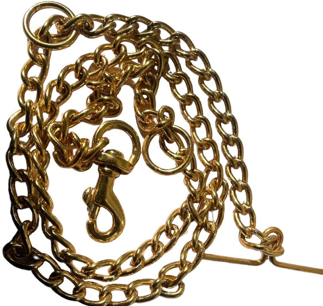 Buy Dog Chain Golden Heavy Duty Metal Dog Chain 63 Inch Length Premium ...