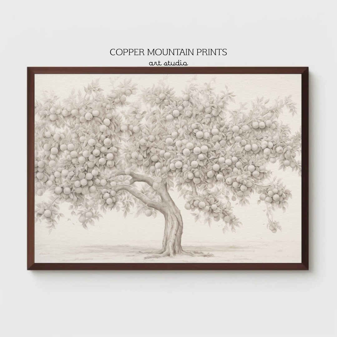 Detailed Pencil Drawing of Apple Tree With Ripe Apples, PRINTABLE ...