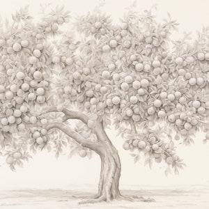 Detailed Pencil Drawing of Apple Tree With Ripe Apples, PRINTABLE ...