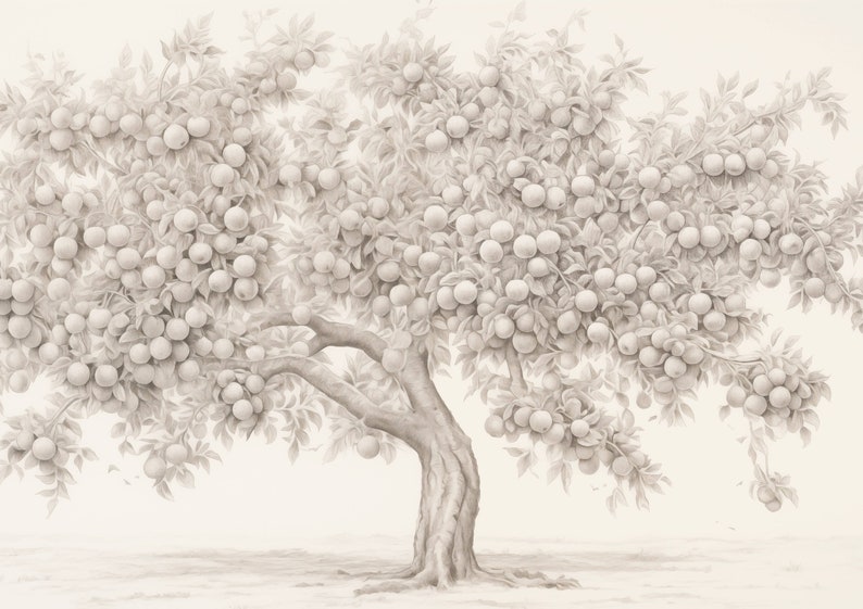 Detailed Pencil Drawing of Apple Tree With Ripe Apples, PRINTABLE ...