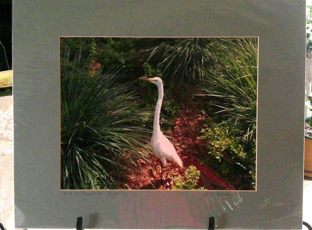 Ron Nelson " Bird in Paradise" - 20"x16" Signed Numbered 3/125 A/P Art ...