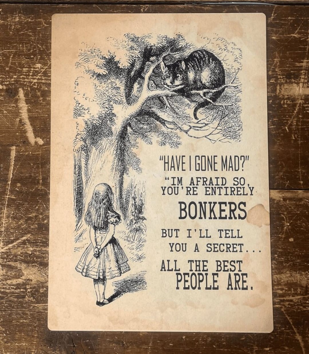 Alice in Wonderland - Have I Gone Mad - Entirely Bonkers Brown Metal ...