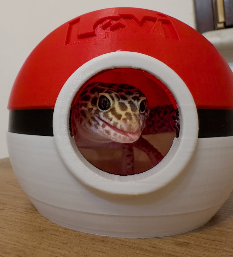 Custom Pokemon Gecko Humidity Hide Reptile Terrarium Decoration - Etsy