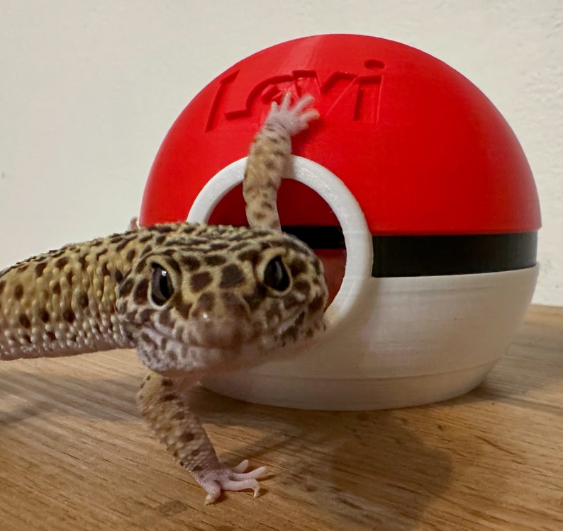Custom Pokemon Gecko Humidity Hide Reptile Terrarium Decoration - Etsy