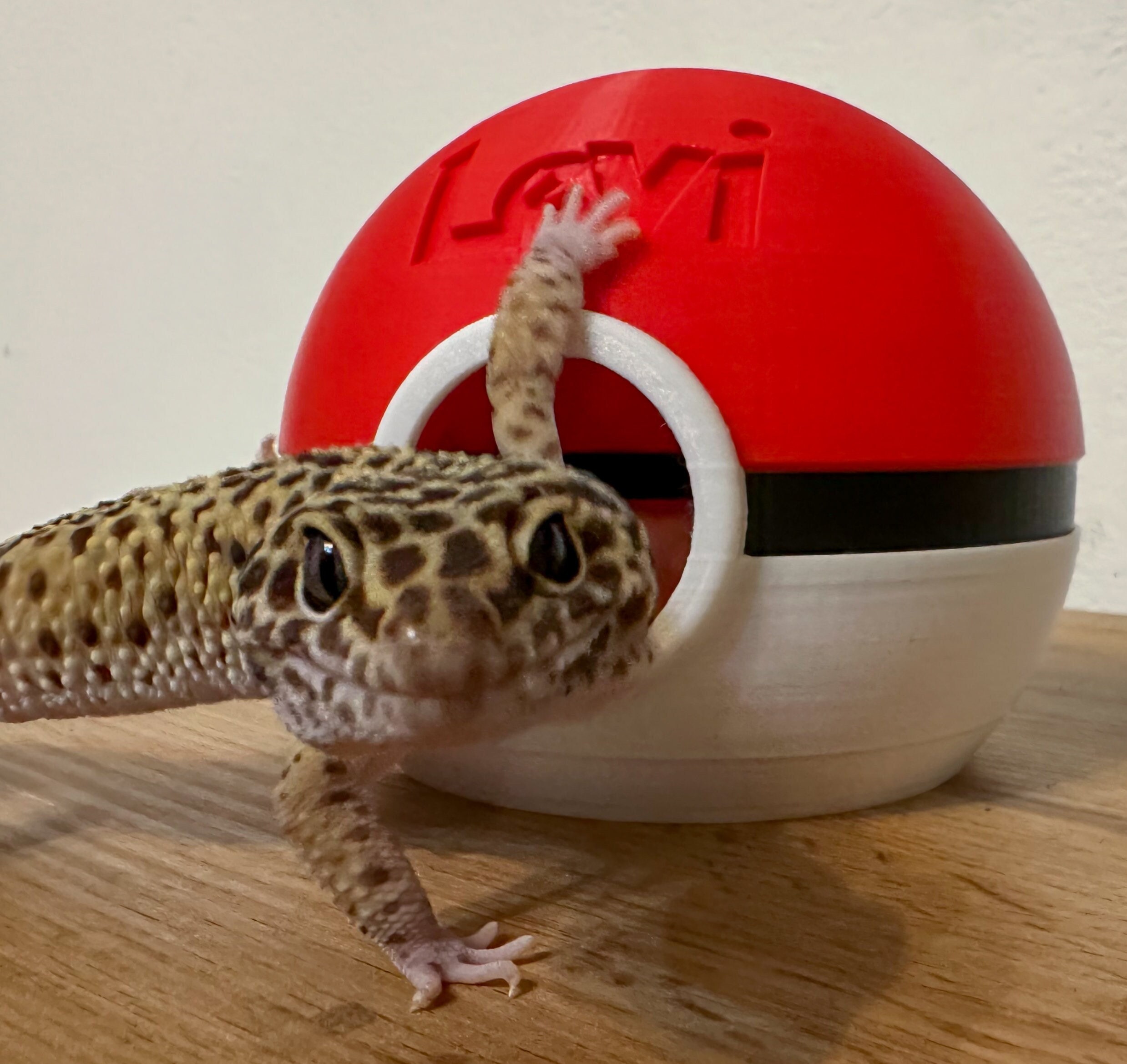 Custom Pokemon Gecko Humidity Hide Reptile Terrarium Decoration - Etsy