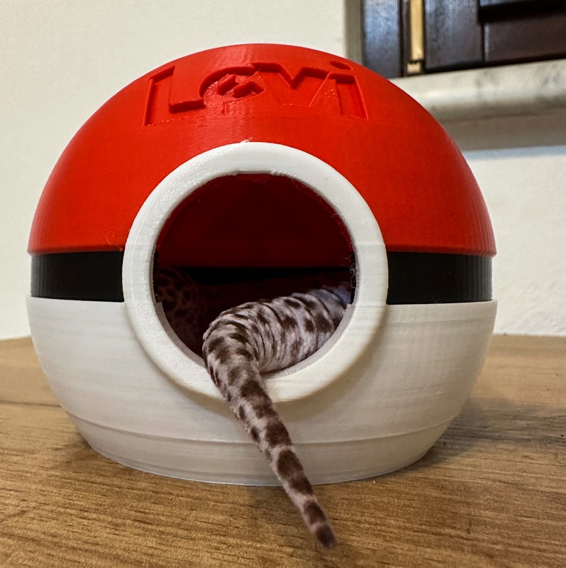 Custom Pokemon Gecko Humidity Hide Reptile Terrarium Decoration - Etsy