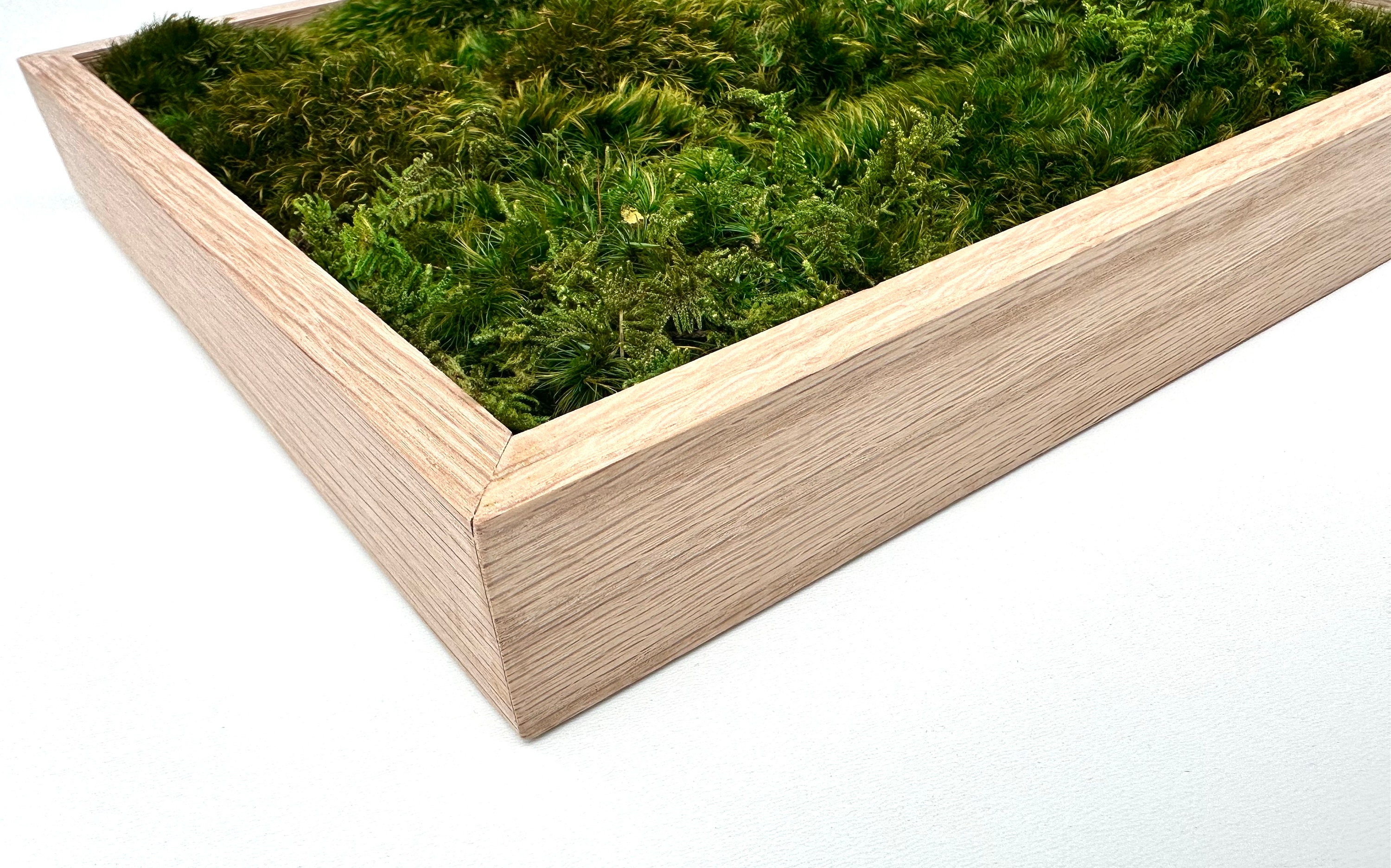 Moss Art Frame, Moss Art, Handmade Gift, Natural Art, Preserved Moss ...