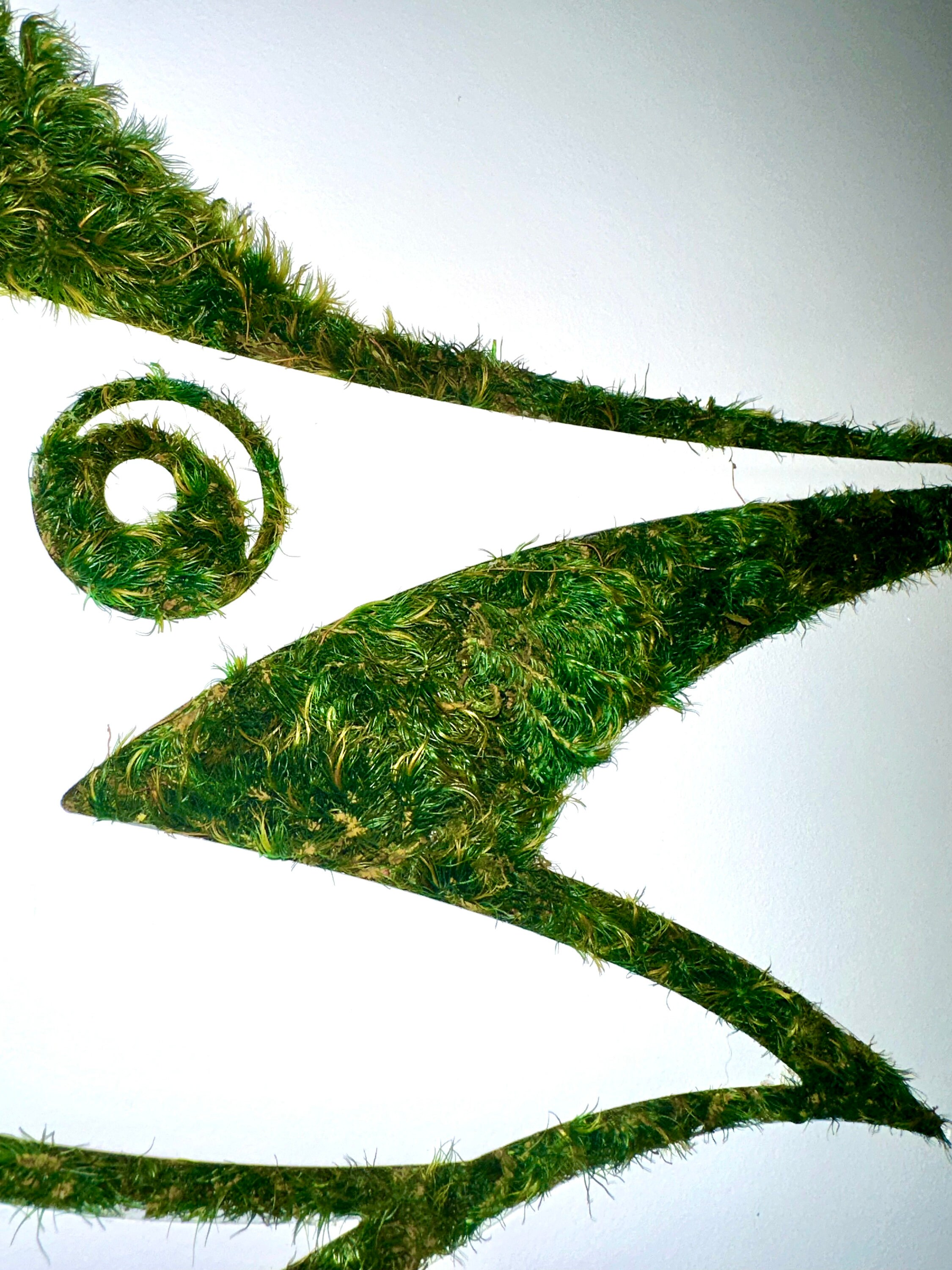 Marlin Preserved Moss Wall Art, Natural Wood Background, Custom Fish ...