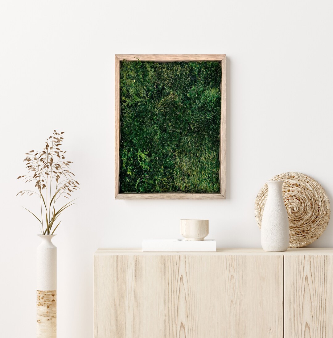 Moss Art Frame, Moss Art, Handmade Gift, Natural Art, Preserved Moss ...