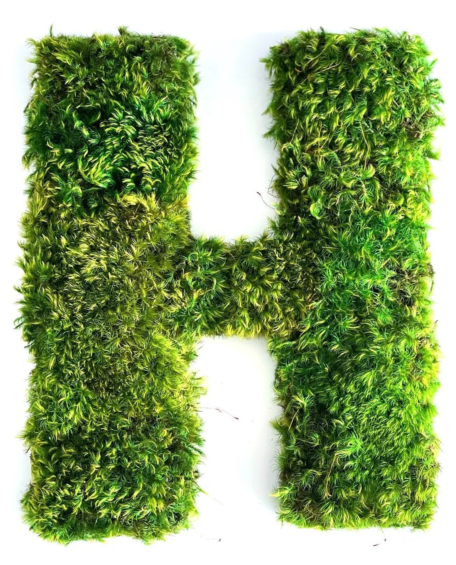 Moss Letters, Preserved Mood Moss, Moss Logo, Moss Art, Mood Moss ...