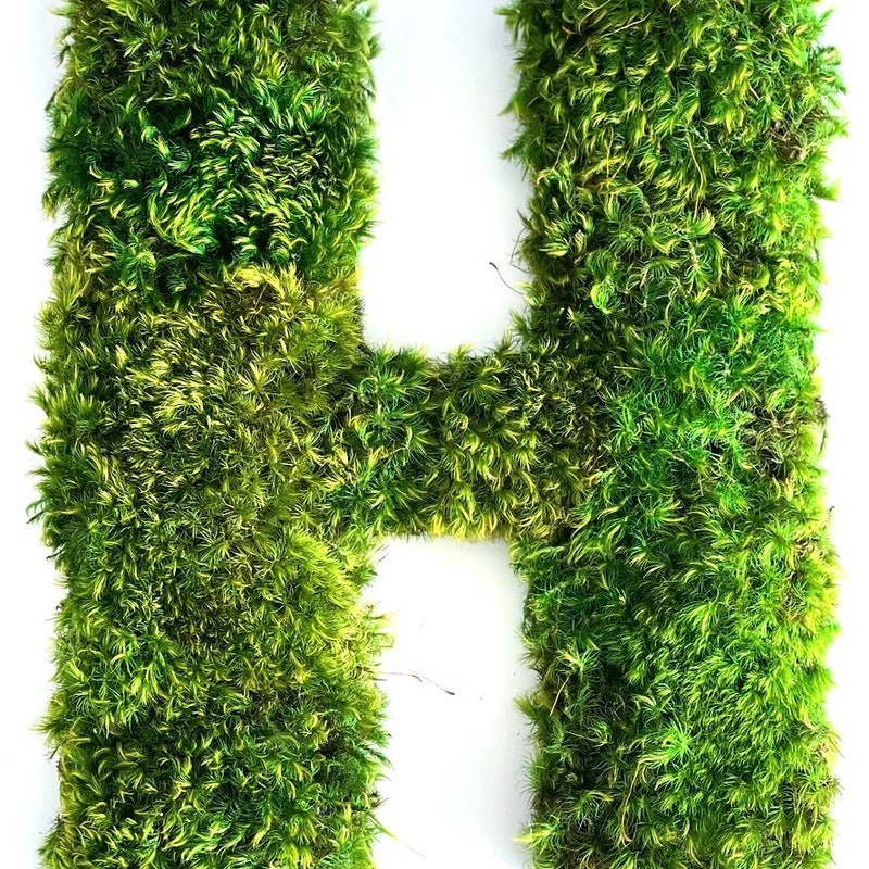 Moss Letters - Etsy