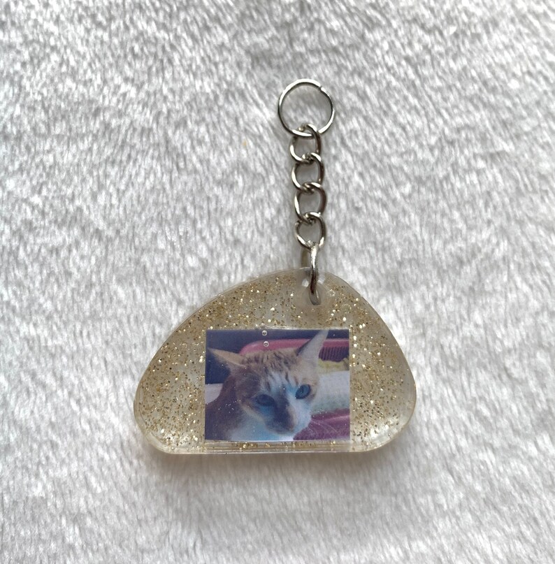 Keychain:stray Kids With Their Pet Keychain of Your Bias and Pet Soonie ...