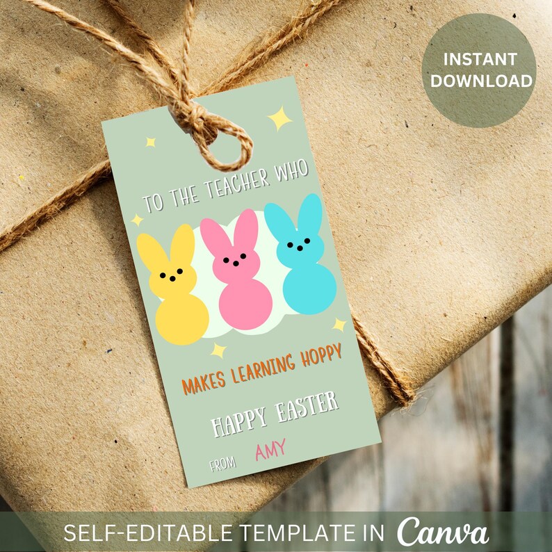 Editable Easter Teacher Gift Tags, Bunny Treat Bag (digital Download ...