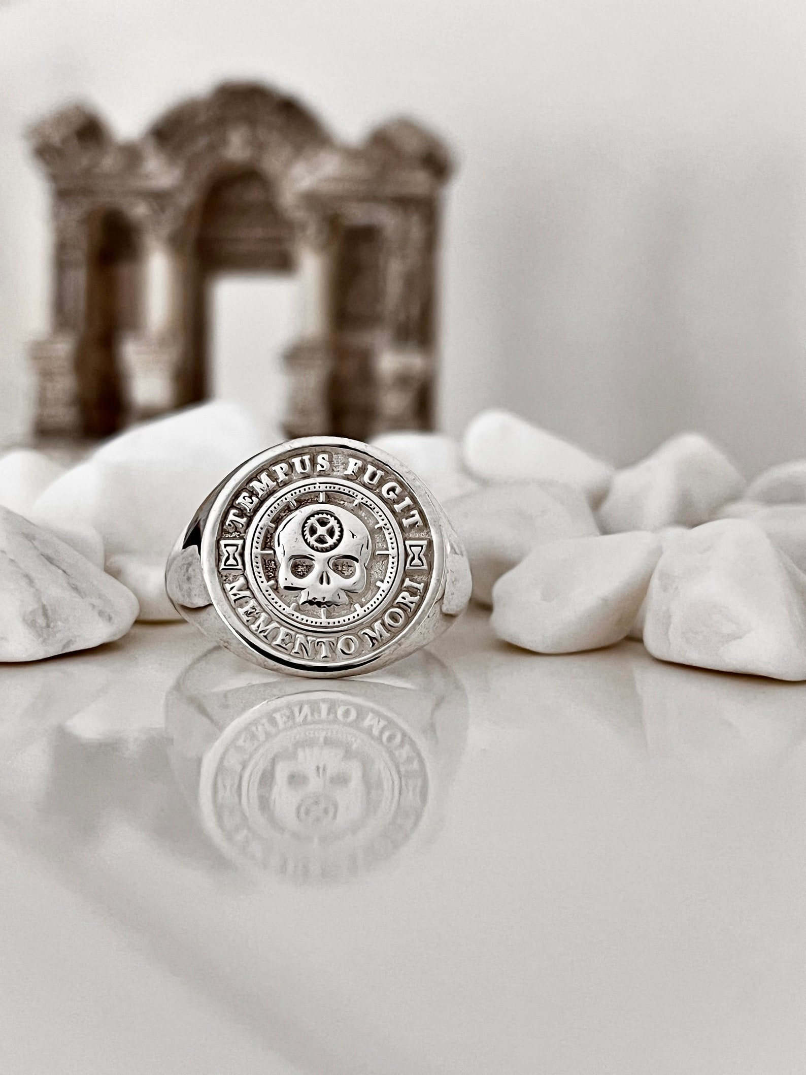 925K Silver Tempus Fugit Ring, Graduation Gift, Vintage Rings, Stoic ...
